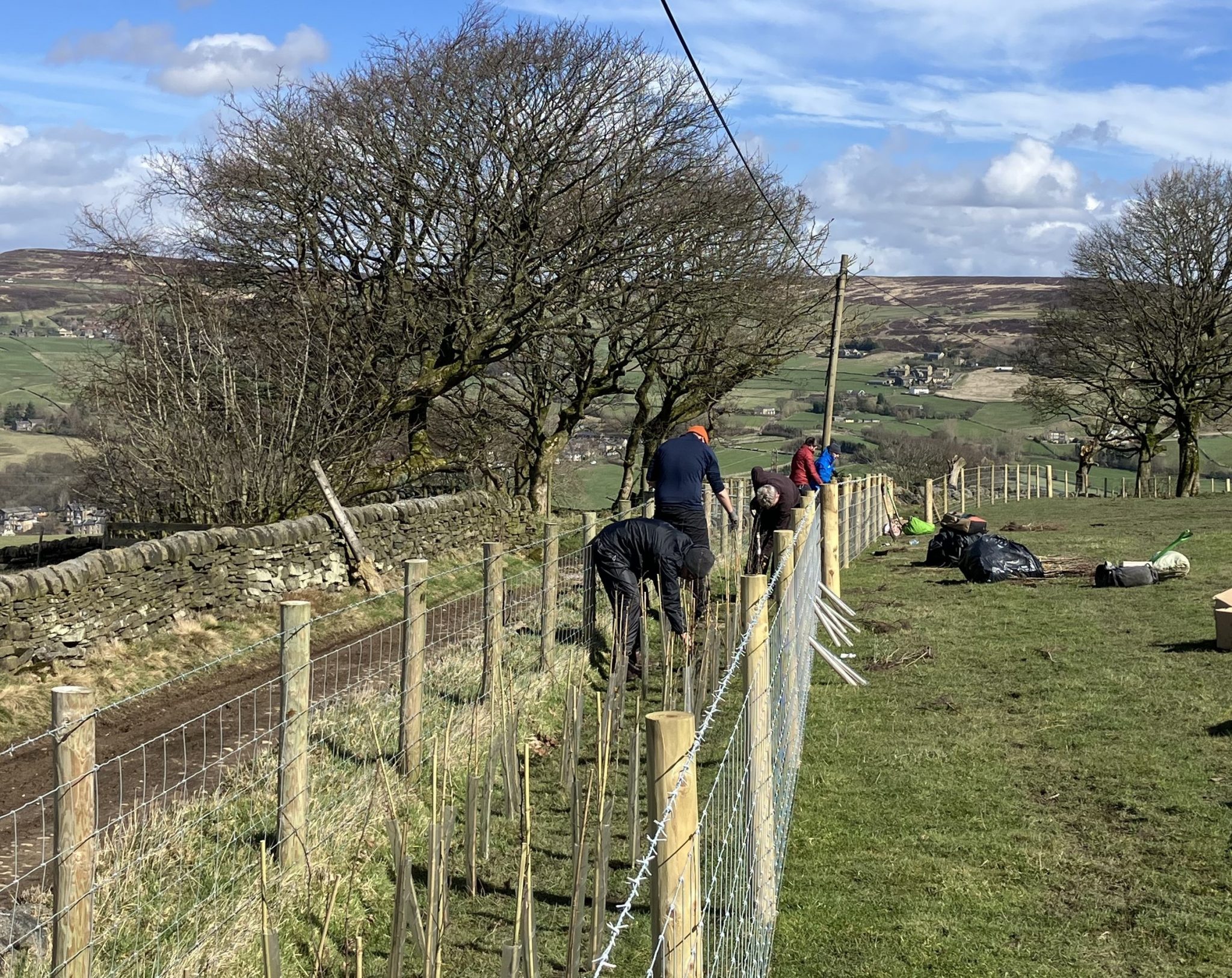 Hedge Planting in Hebden Bridge – Calder Rivers Trust