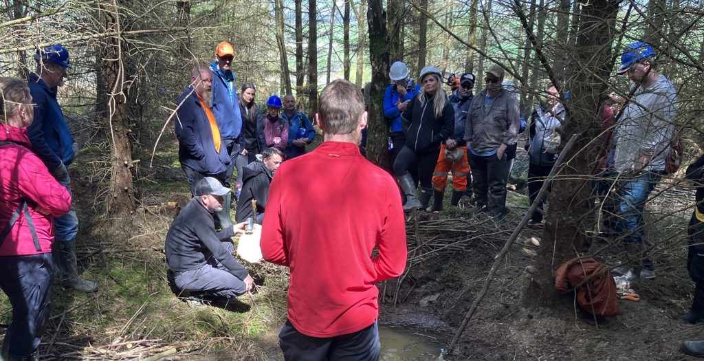 Low-Tech Process-Based Restoration – Calder Rivers Trust